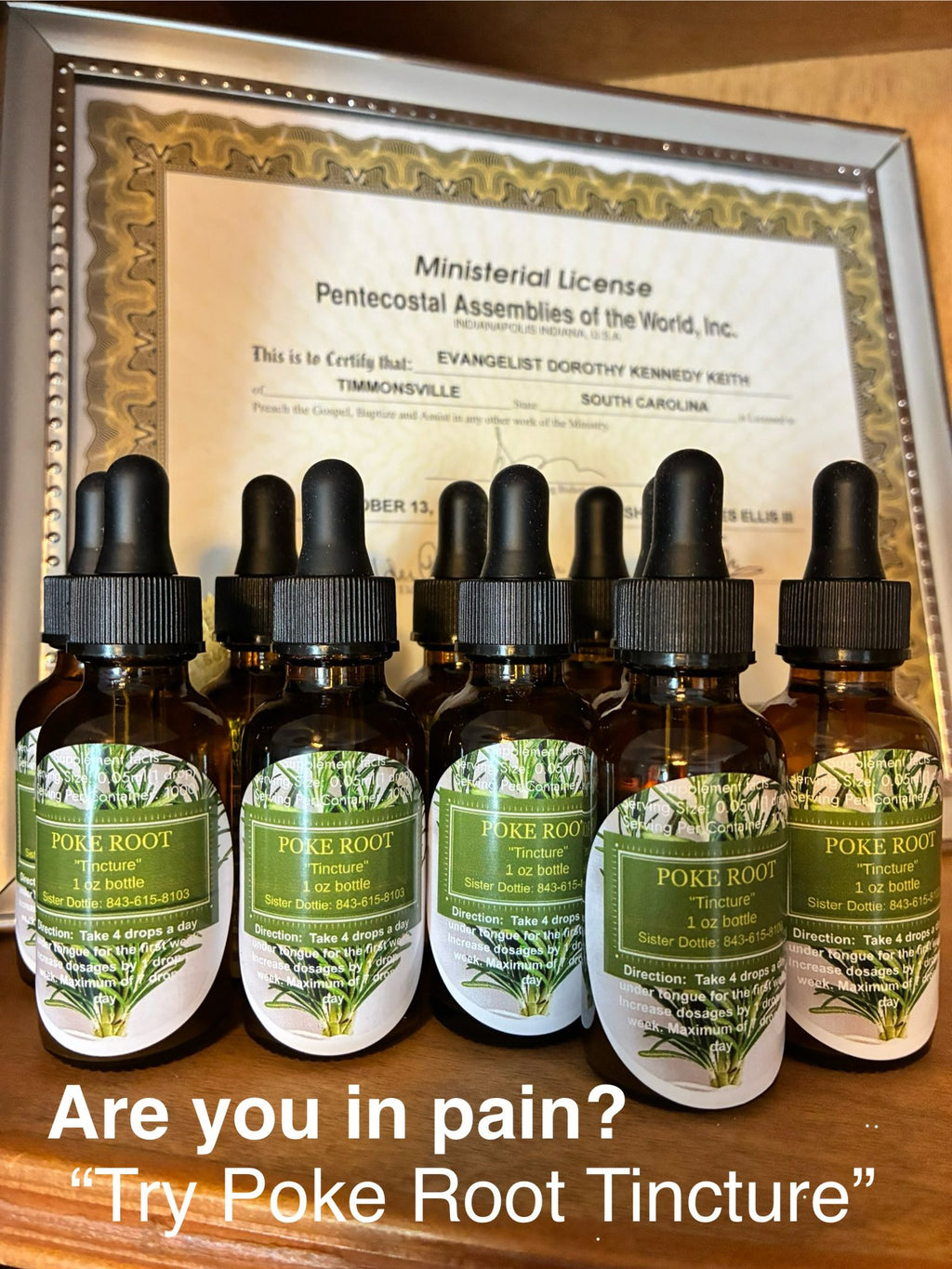 Poke Root Tincture – Back To The Roots